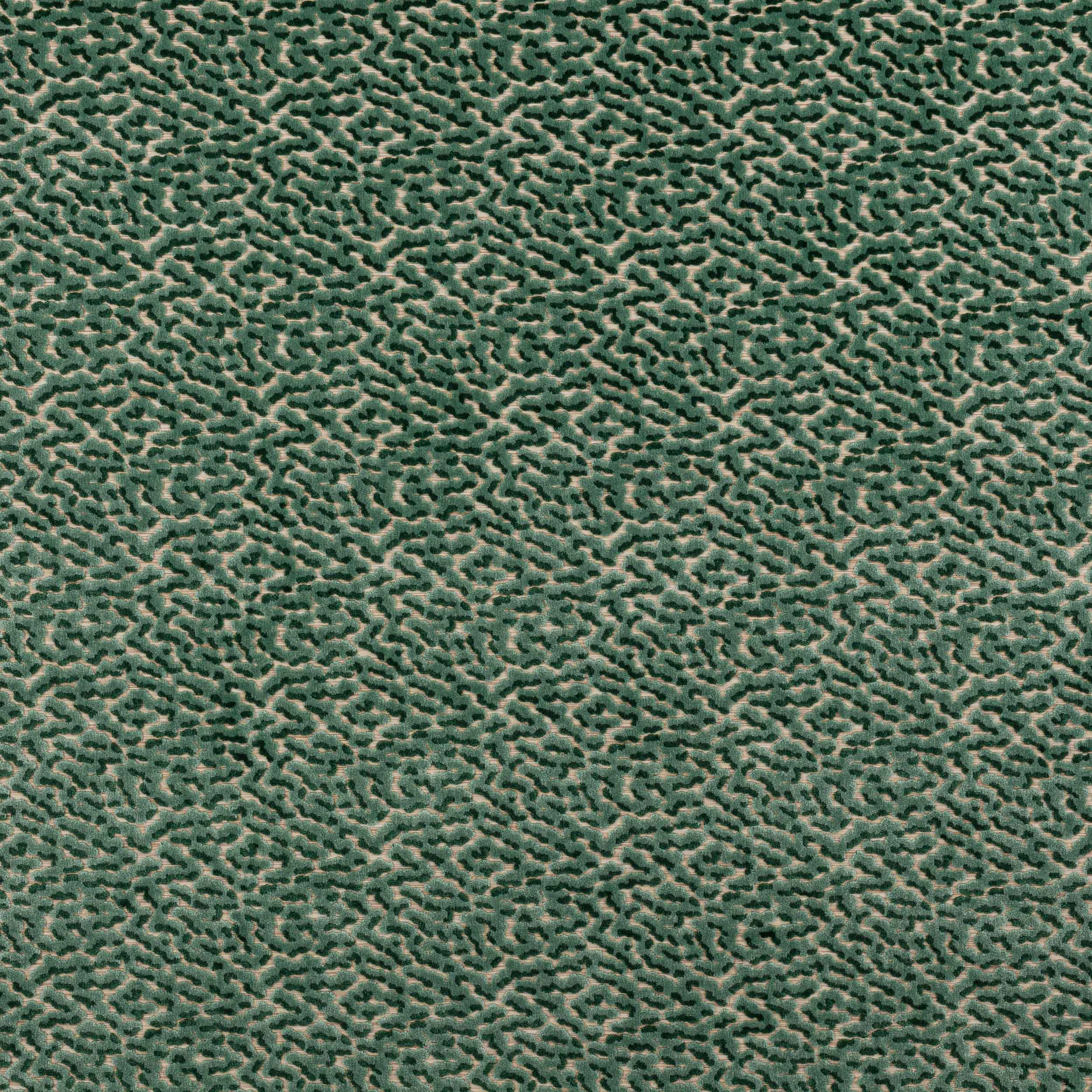 Kemble, forest - Cowtan & Tout Design Library