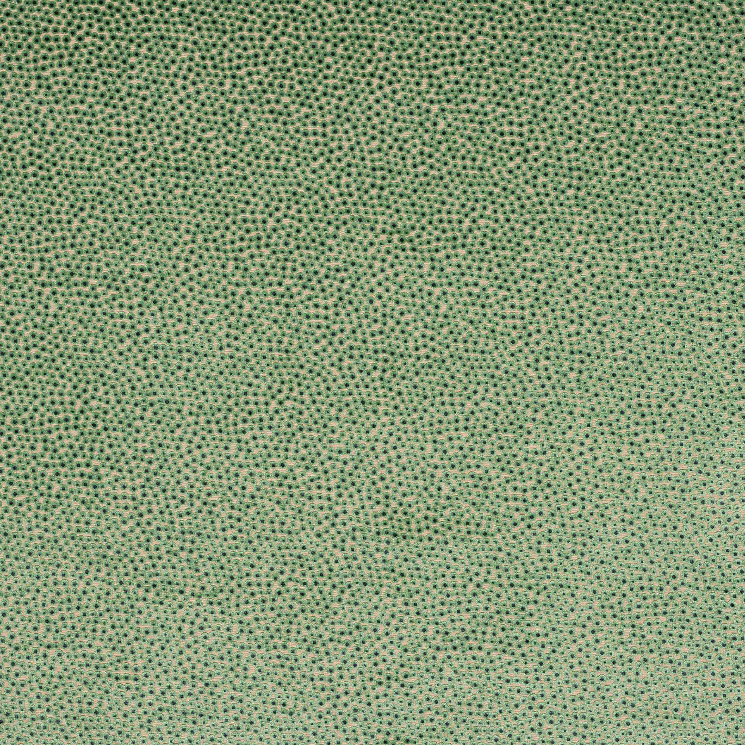 Darwin, blue - Cowtan & Tout Design Library