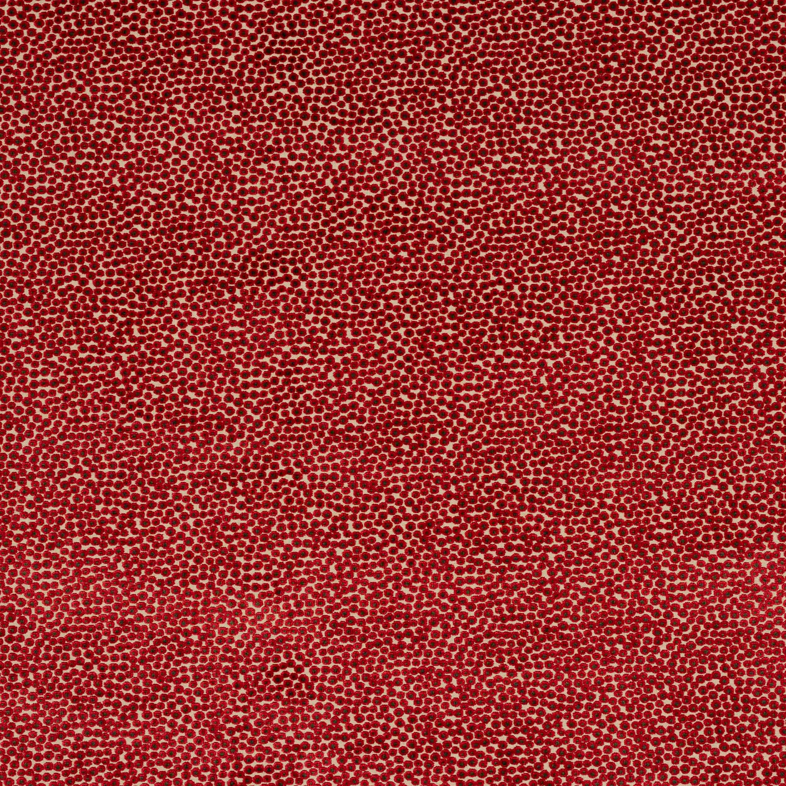 Darwin, blue - Cowtan & Tout Design Library