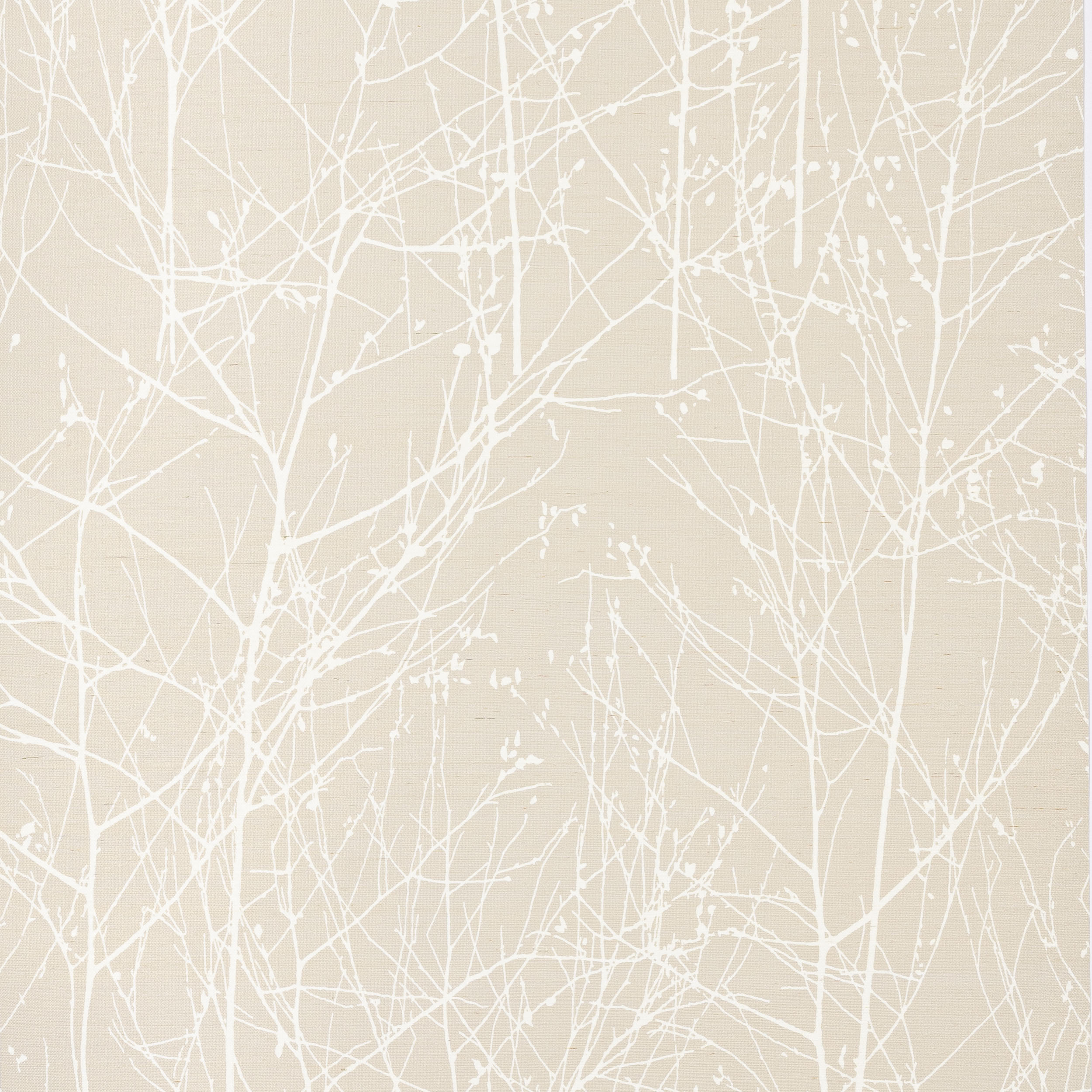Wintertree Wallcovering, birch - Cowtan & Tout Design Library